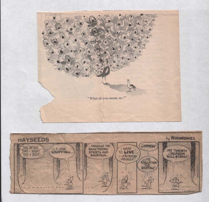 Family Nash pictures